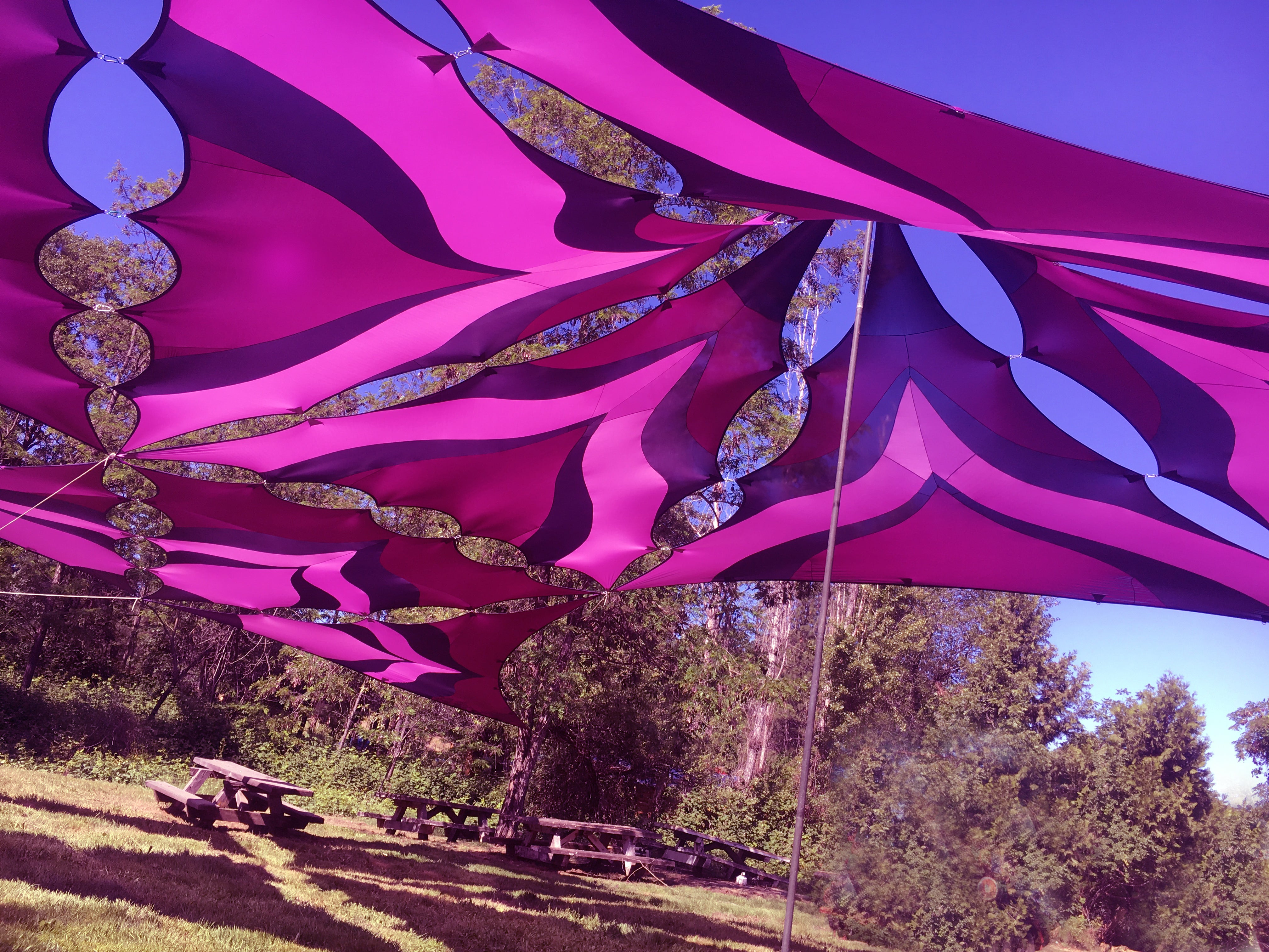 Lotus Panels (large) - Pink Purple